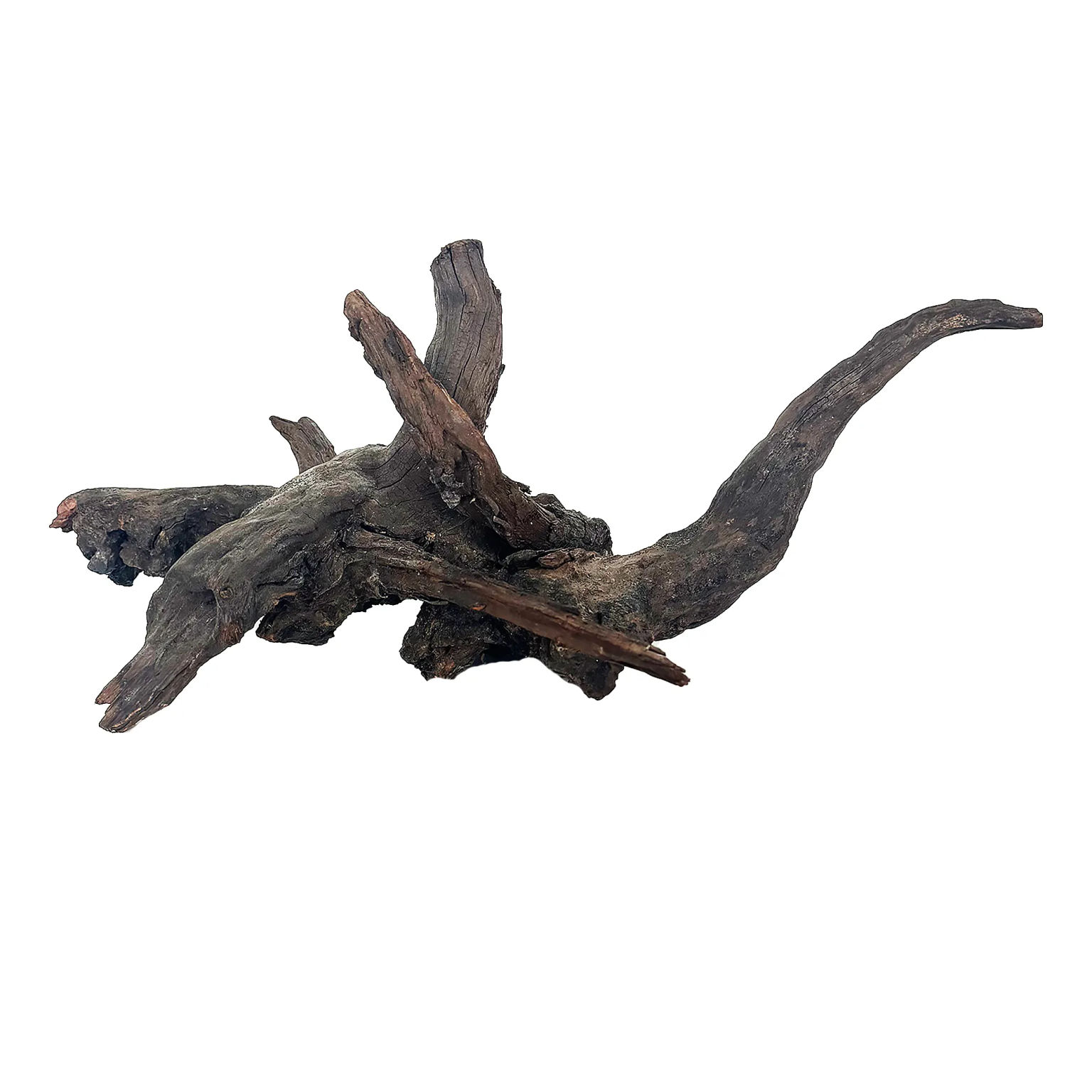 Mangrove Root Aquarium Ornament | Natural and Attractive