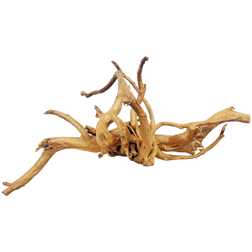 Spider Root Natural | Perfect For An Underwater Oasis